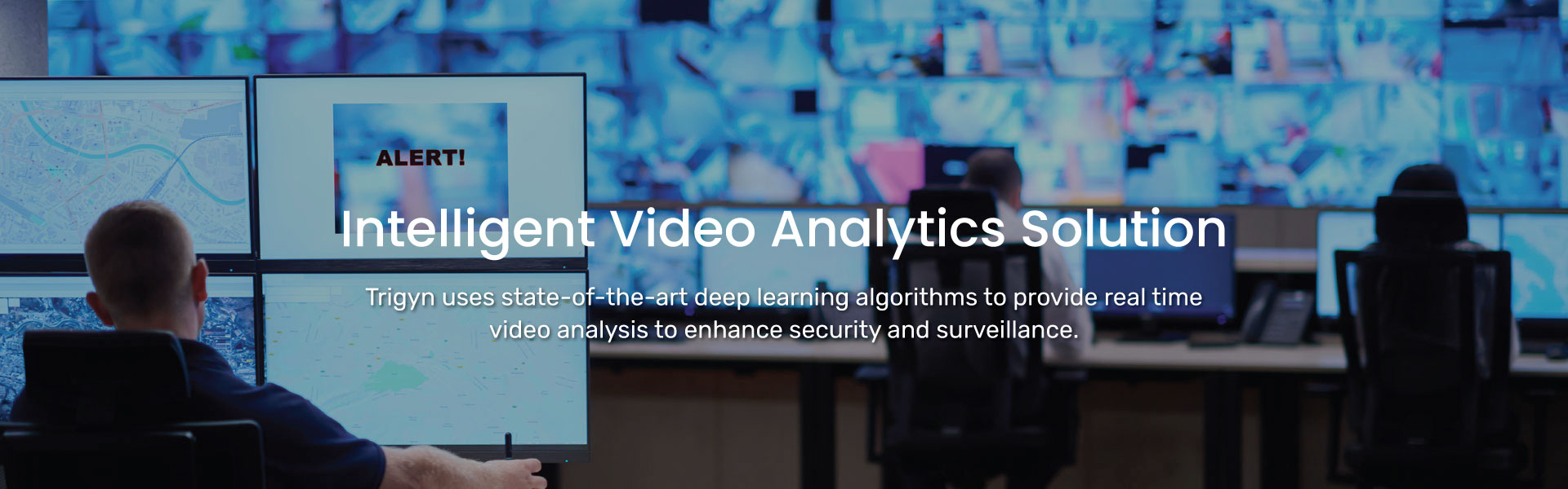 Trigyn's Intelligent Video Analytics Offerings Trigyn's Intelligent Video Analytics Offerings